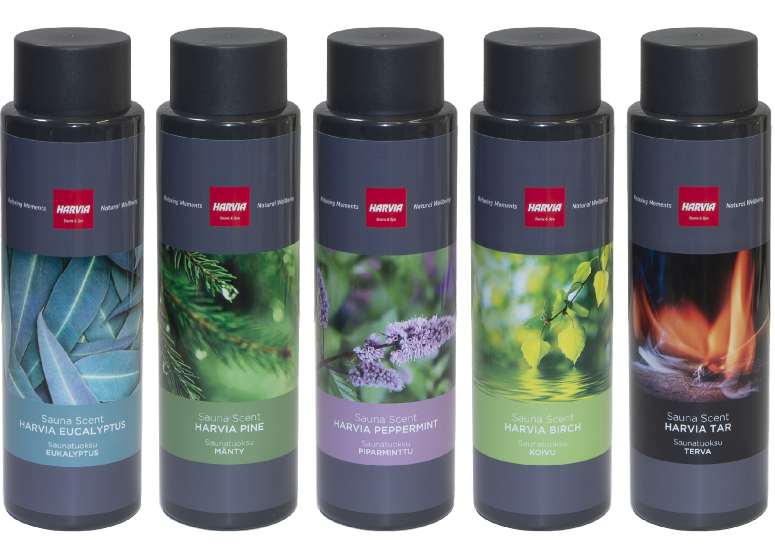 Sauna Aroma 400ml (Birch, Eucalyptus, Peppermint, Pine, Tar) | SDS ...